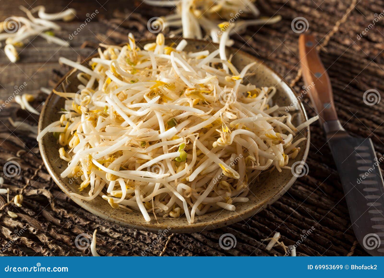 Raw Healthy White Bean Sprouts Stock Image - Image of ingredient ...