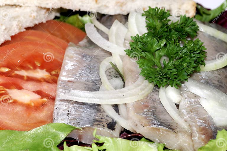 Raw herring with lettuce stock image. Image of eating - 1777041