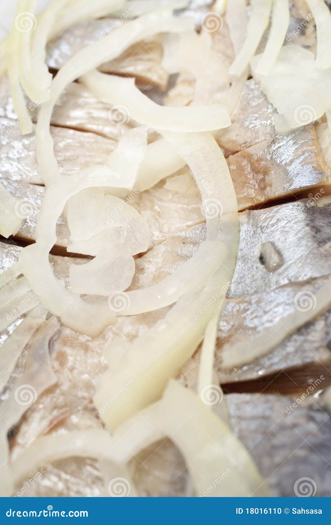 Raw Herring and Onion stock photo. Image of fresh, dish - 18016110