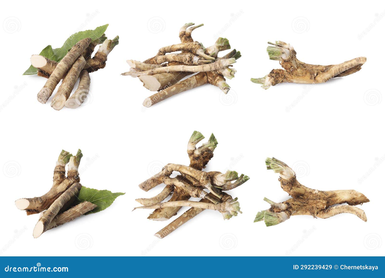 Raw Horseradish Roots Isolated on White, Collage Design Stock Image ...
