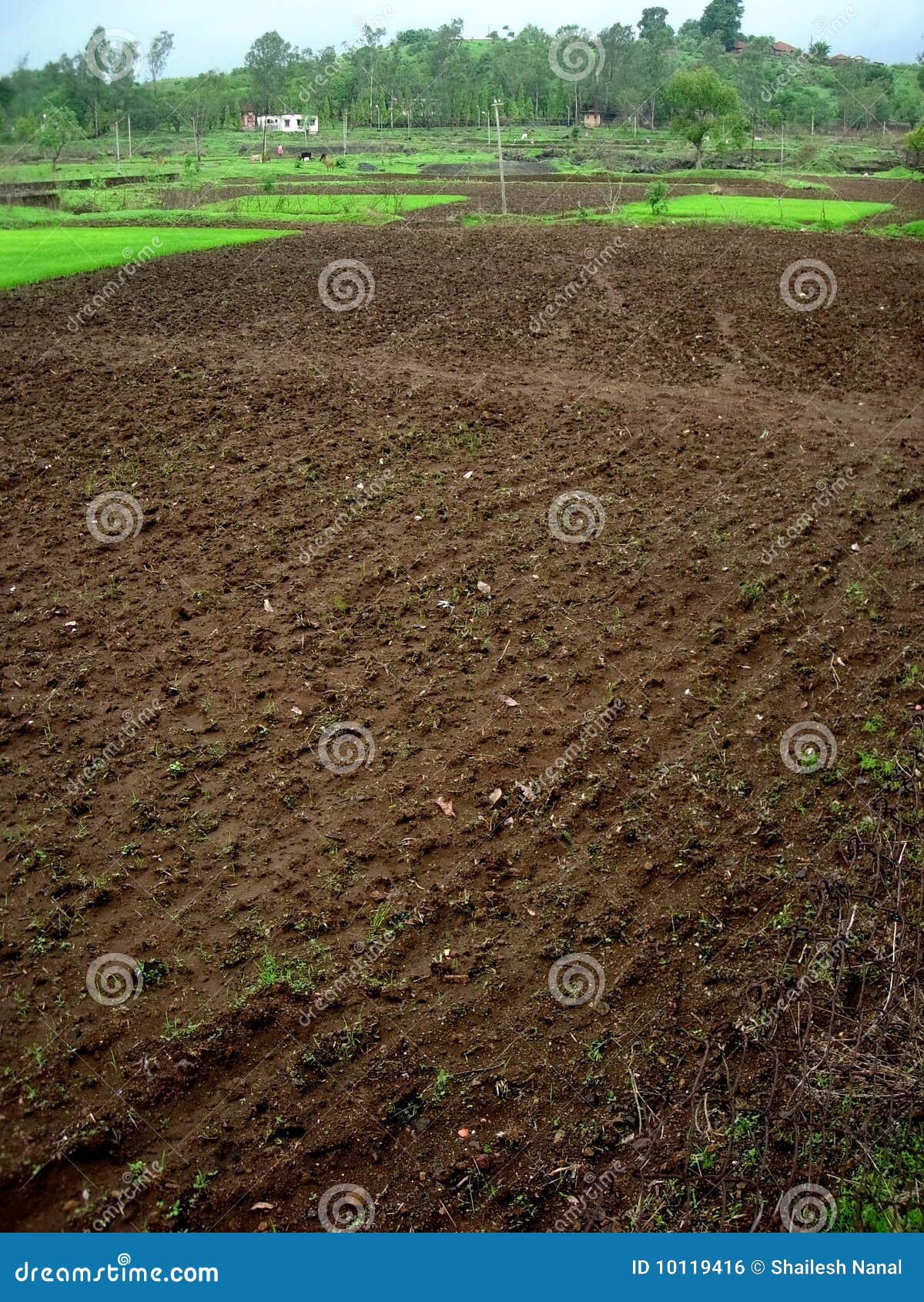 Raw Indian Soil before Cultivation Stock Photo - Image of distant ...