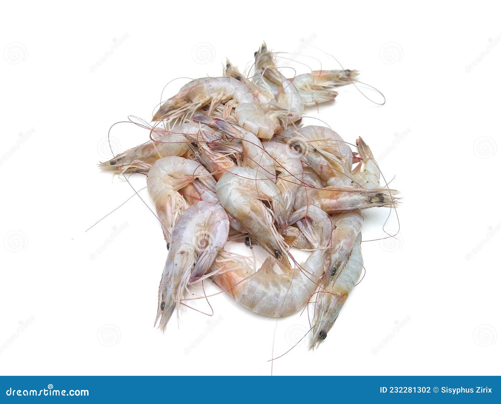 Raw Indian White Prawn Isolated on White Background, Fresh Seafood ...