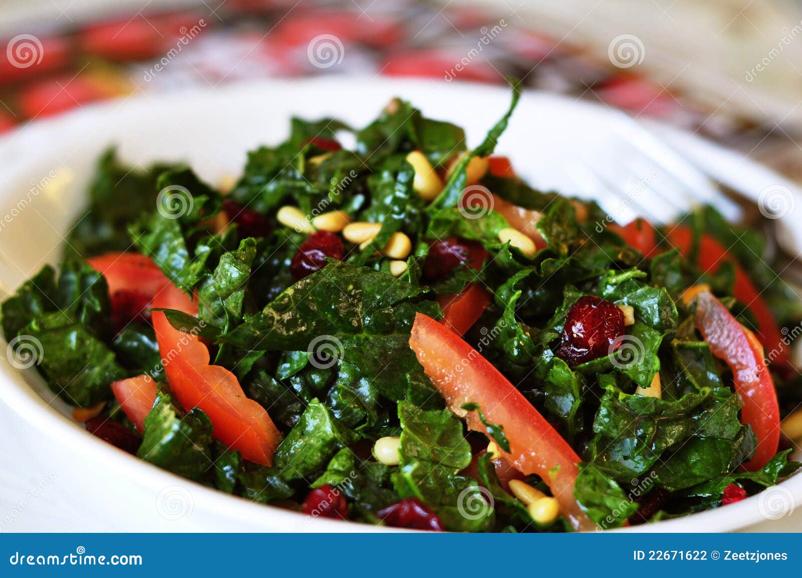Raw Kale Salad stock photo. Image of salad, kale, cranberries - 22671622