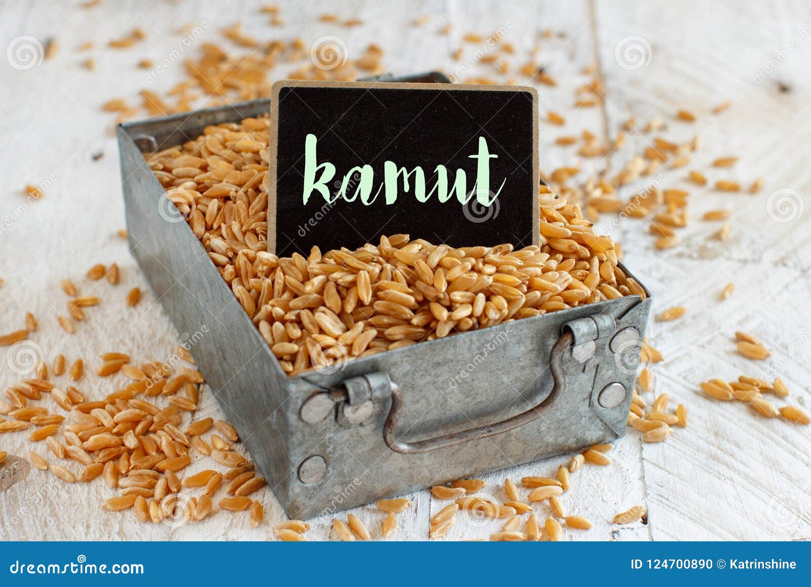 Raw Kamut Grain in a Metal Box Stock Photo - Image of khorasan, grain ...