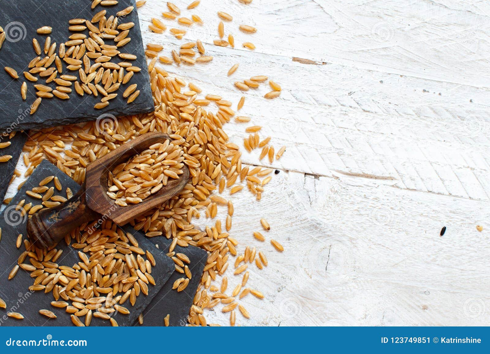 Raw Kamut grain stock image. Image of khorasan, meal - 123749851