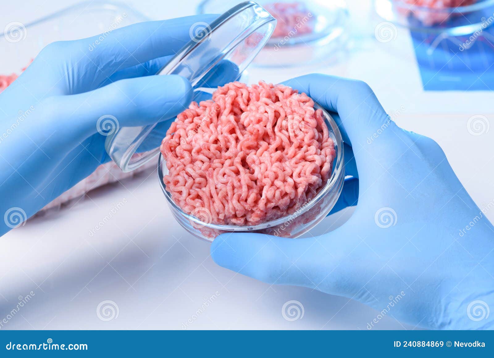 Raw Lab Meat Sample in Petri Dish Stock Image - Image of dish ...