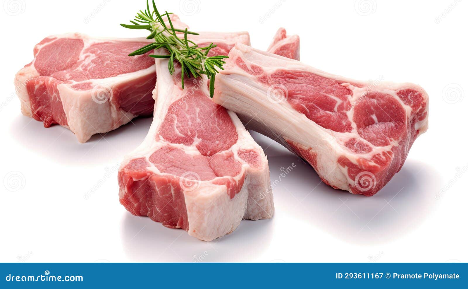 Raw Lamb Chops Isolated on White Background Stock Illustration ...