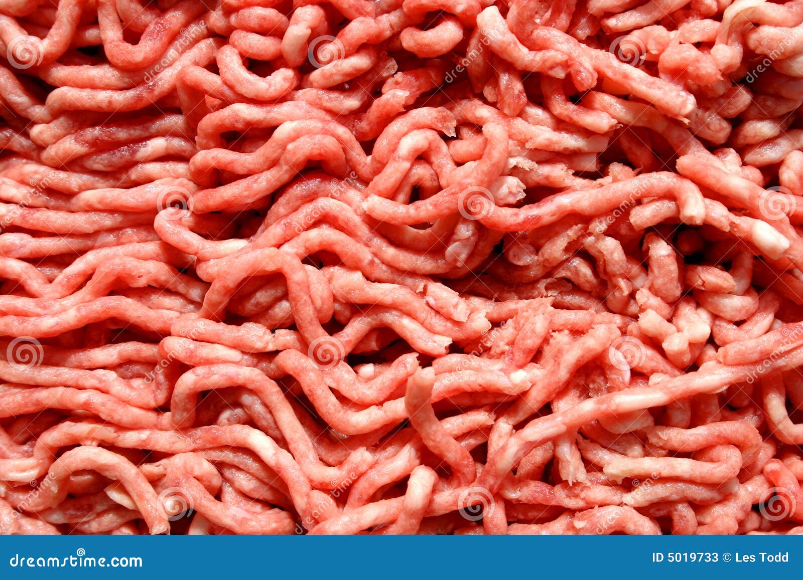 Raw lamb mince stock image. Image of nutrition, texture - 5019733