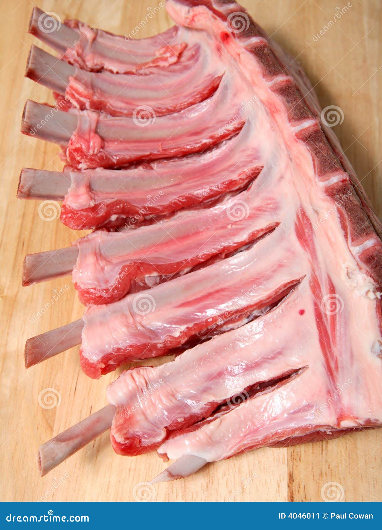 Raw Lamb Rack Meat Frenched Stock Image - Image of mutton, frenched ...