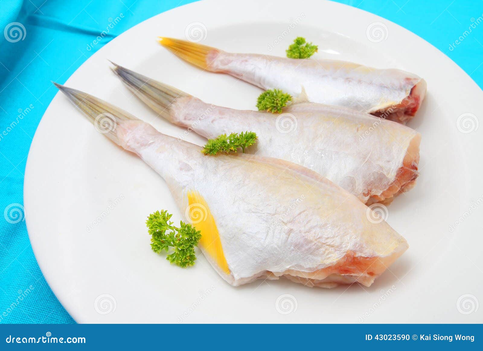 Raw Leatherjacket, Ocean Jacket or Skipjack Fish Stock Photo - Image of ...