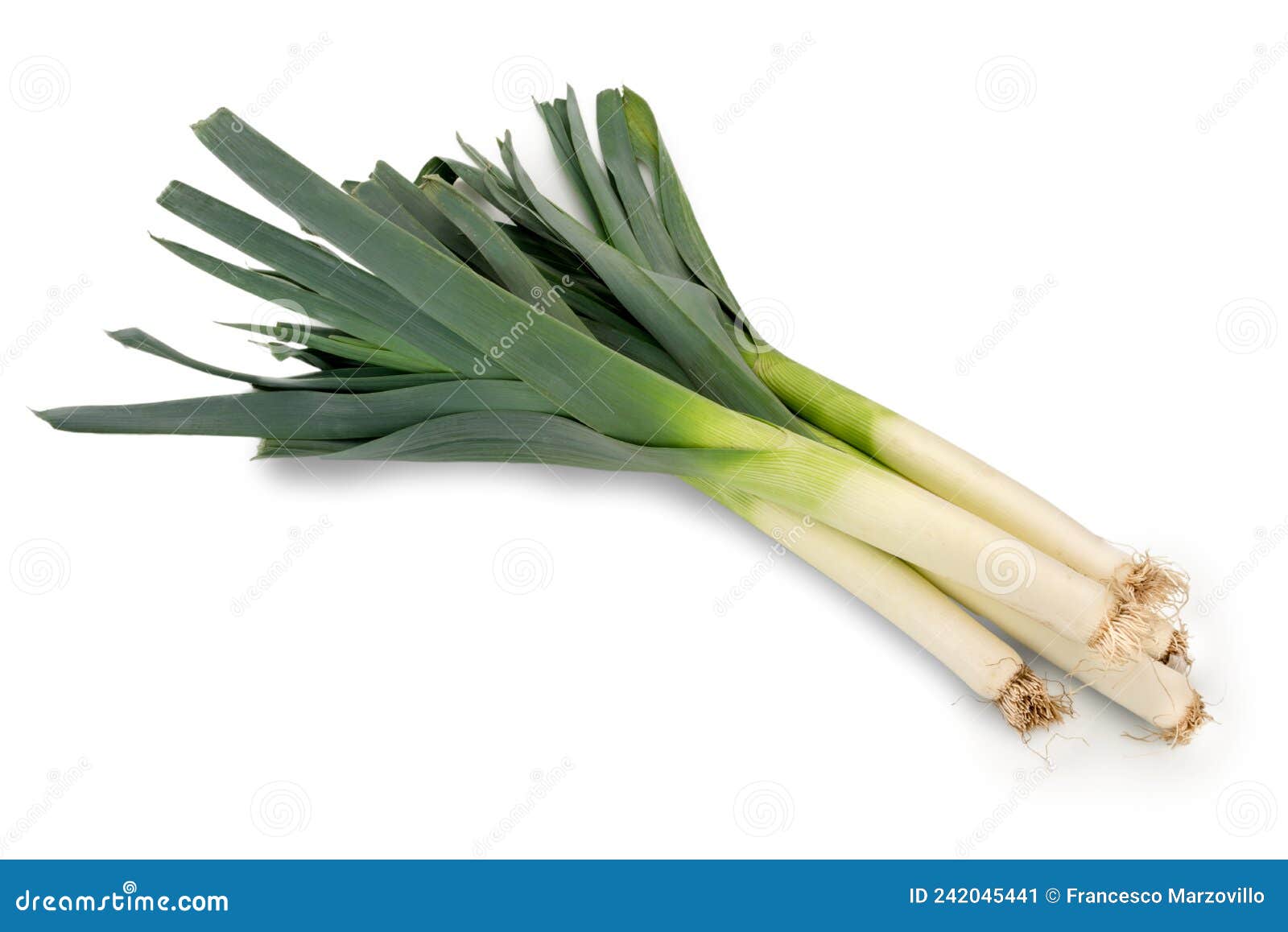 Raw leeks bunch on white stock image. Image of leaf - 242045441