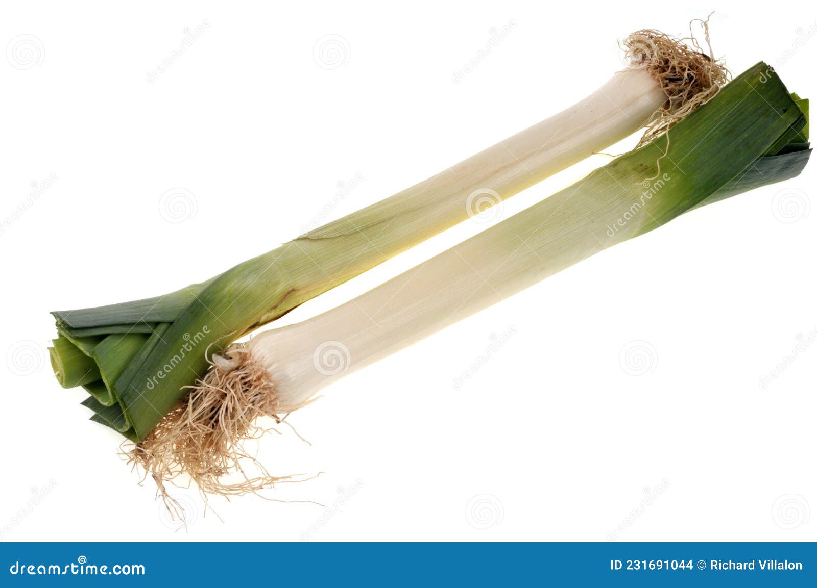 Raw Leeks Close Up Isolated on White Background Stock Photo - Image of ...