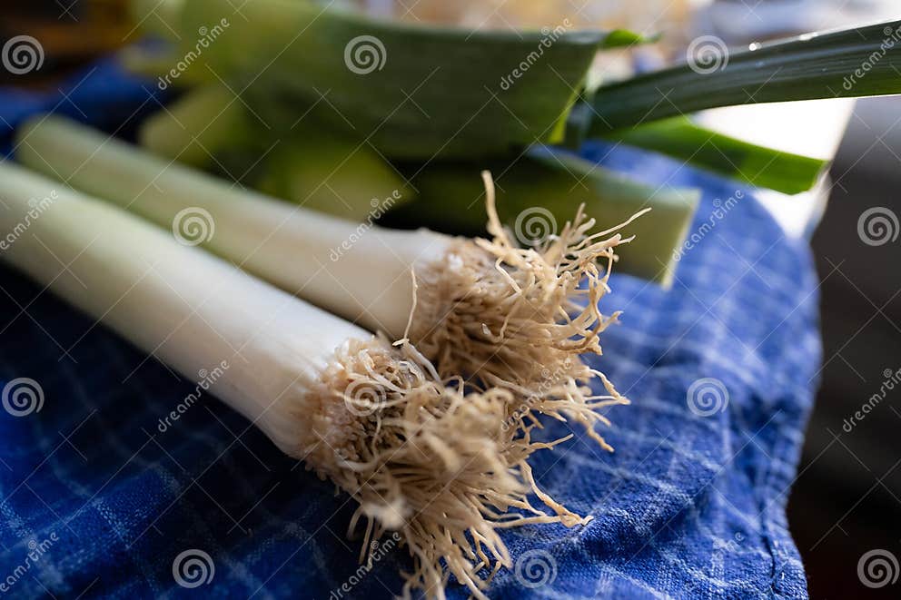 Raw Leeks Lying on Blue Checkered Kitchen Cloth on Table. Front View ...