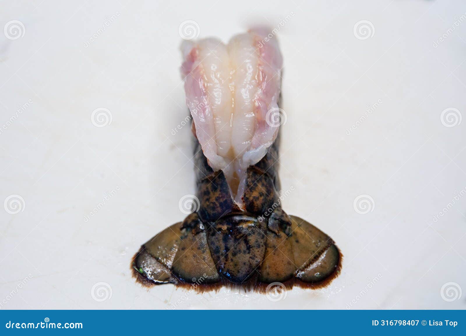 Raw Lobster Tail stock image. Image of isolated, caught - 316798407