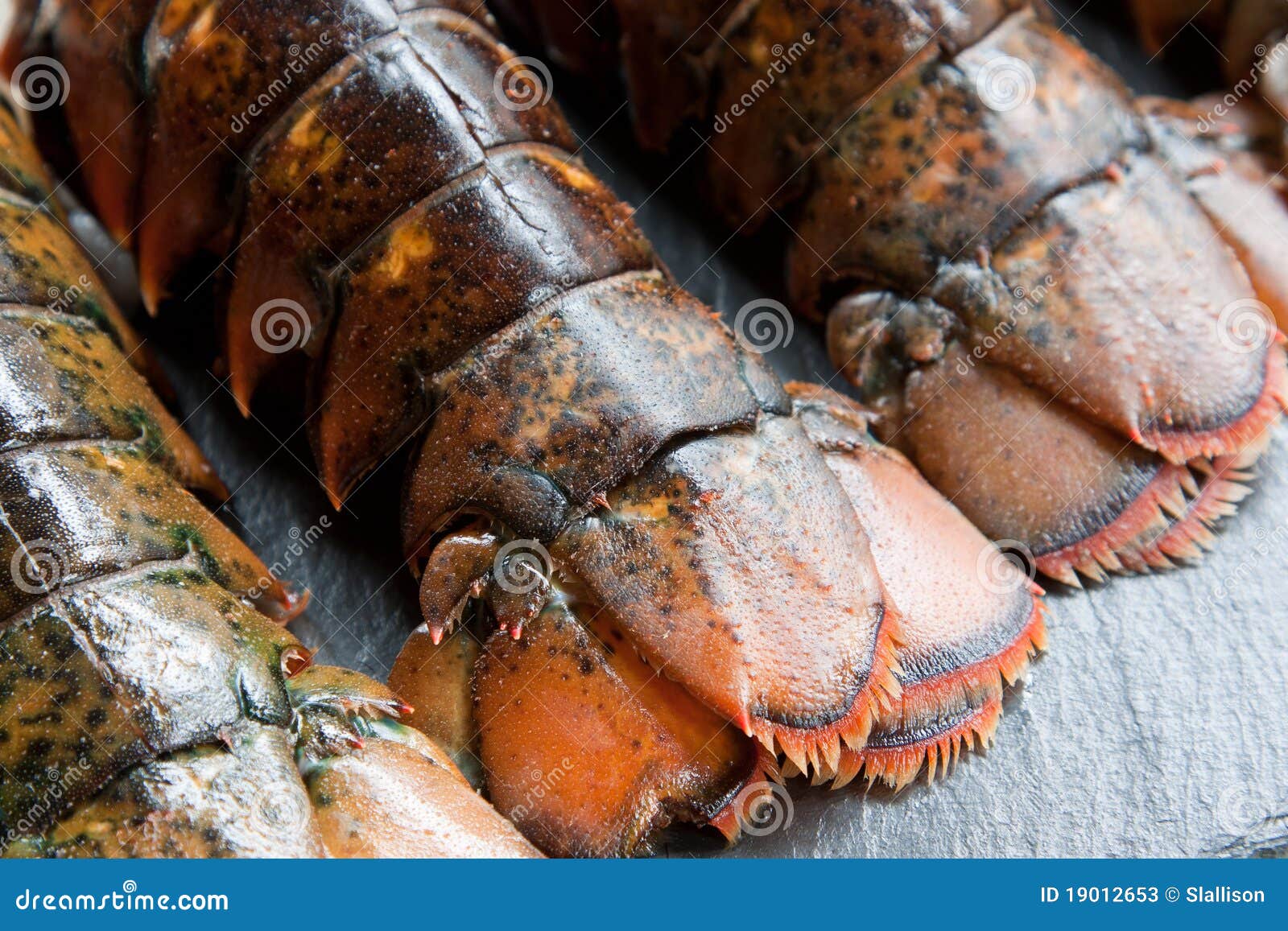 Raw Lobster Tails stock image. Image of nephropidae, tail - 19012653