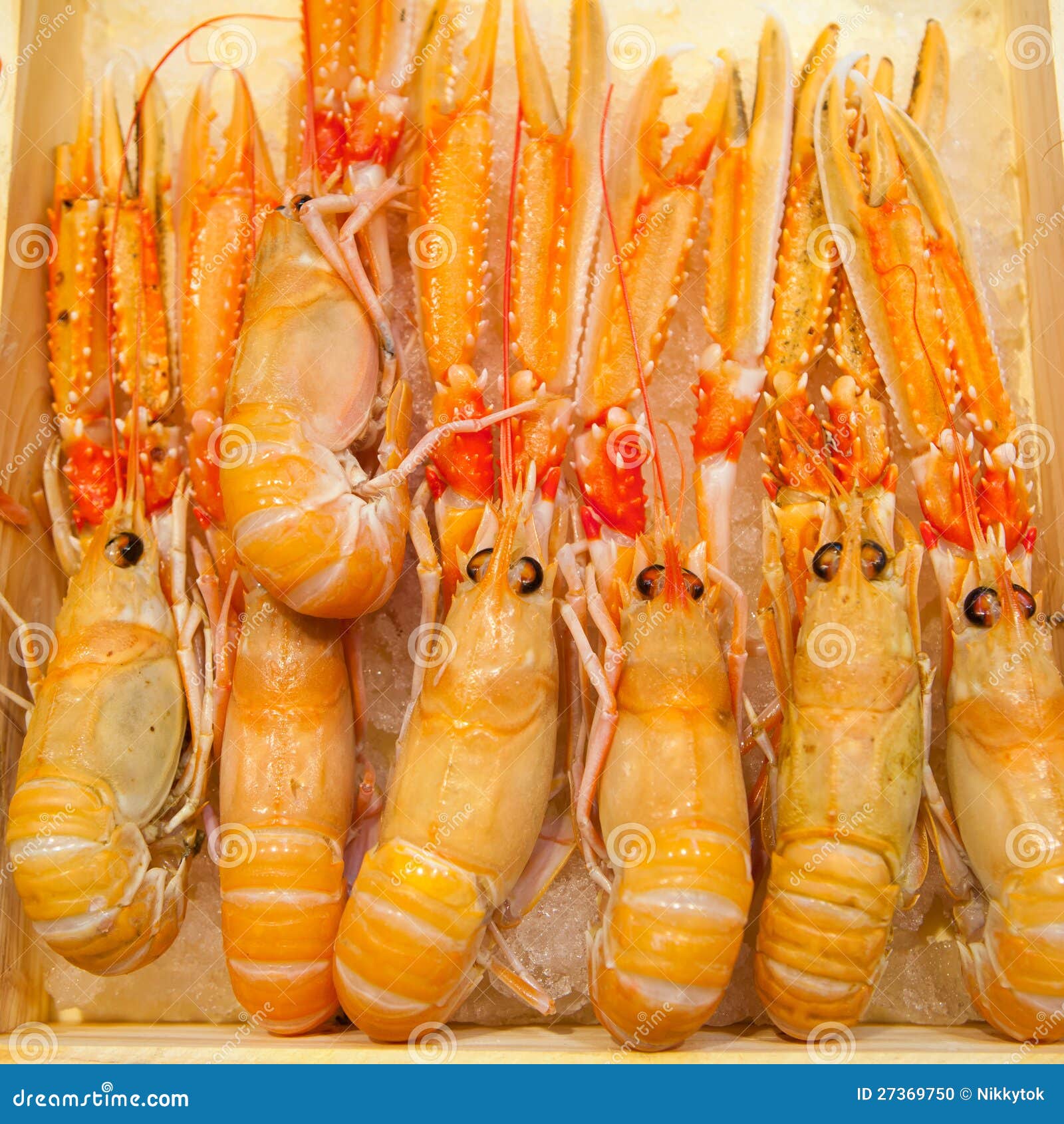 Raw lobsters stock photo. Image of organic, crustacean - 27369750