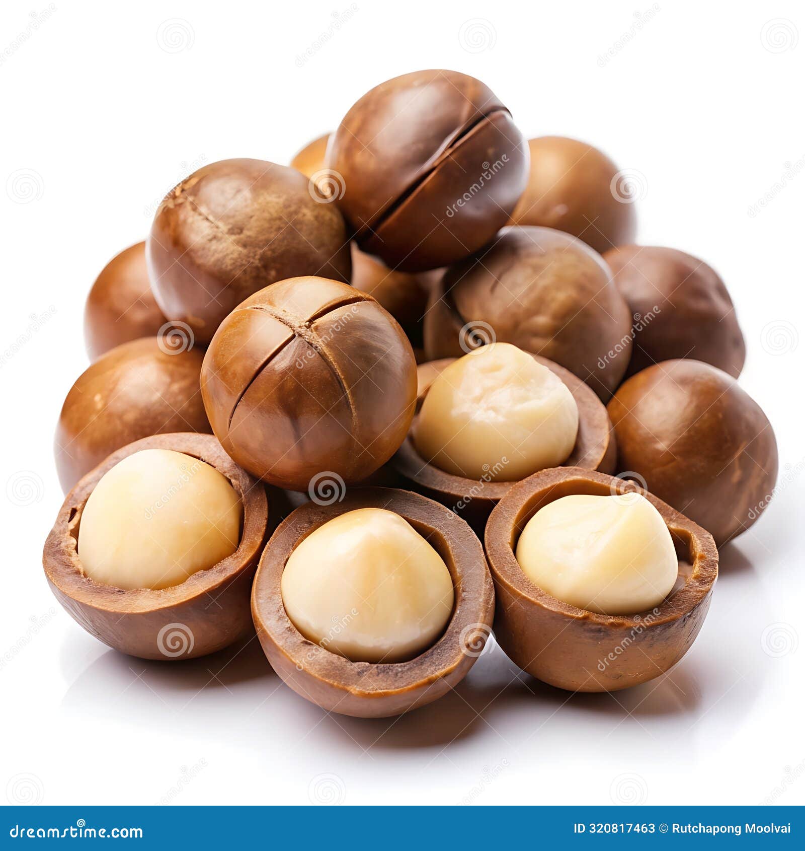 Raw Macadamia Nuts Isolated on White Background Stock Illustration ...