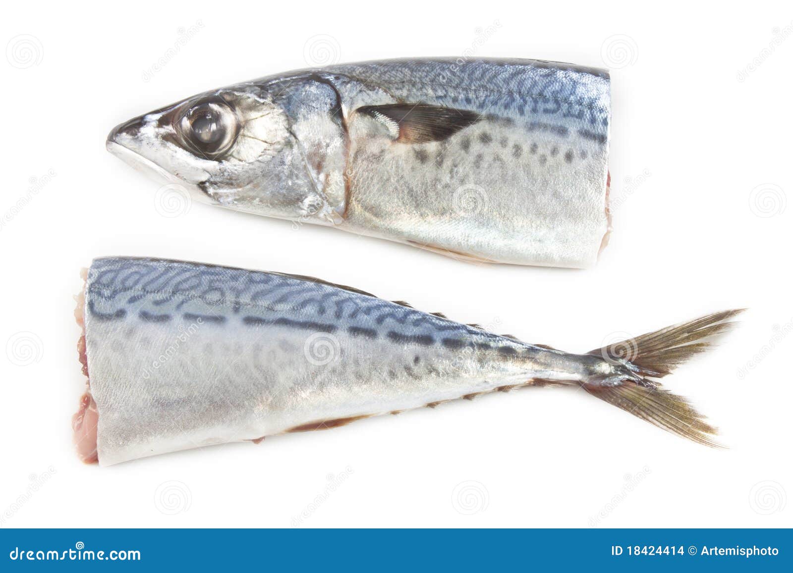 Raw Mackerel fish stock photo. Image of food, health - 18424414