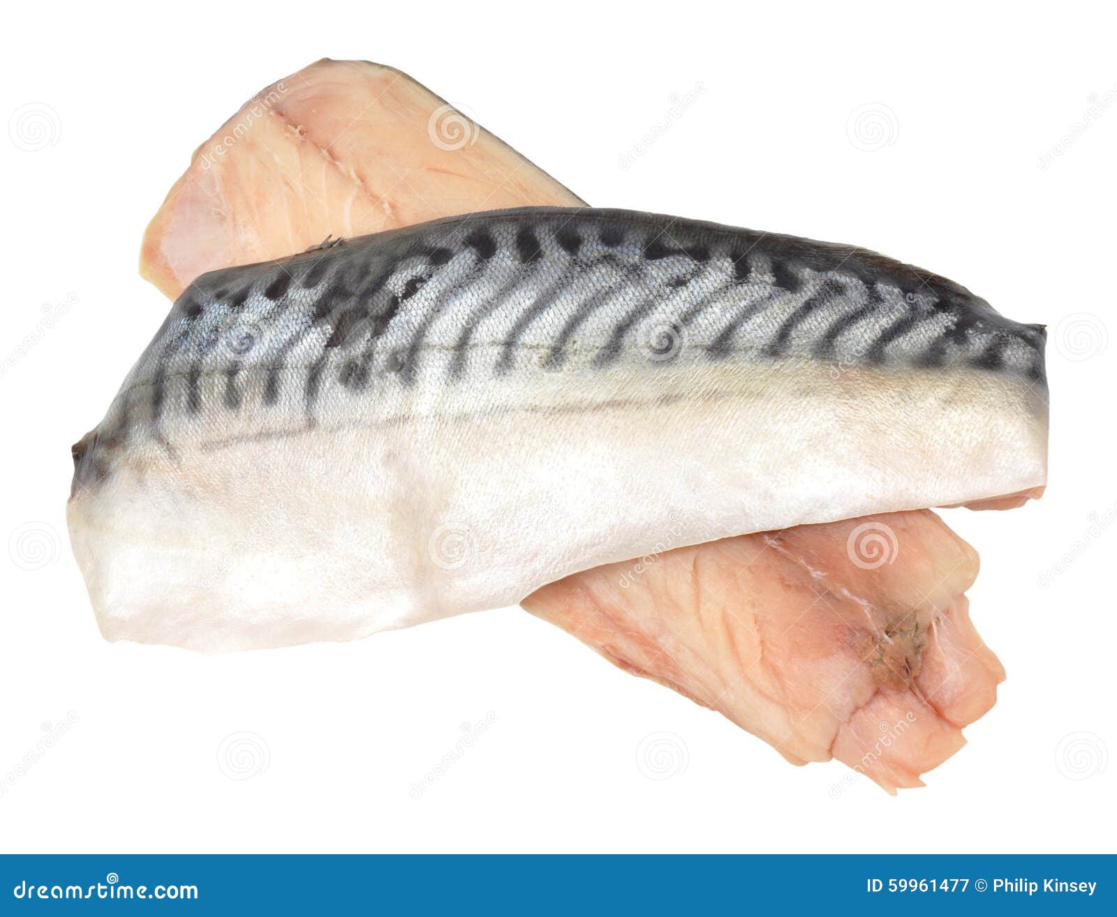 Raw Mackerel Fish Fillets stock image. Image of seafood - 59961477