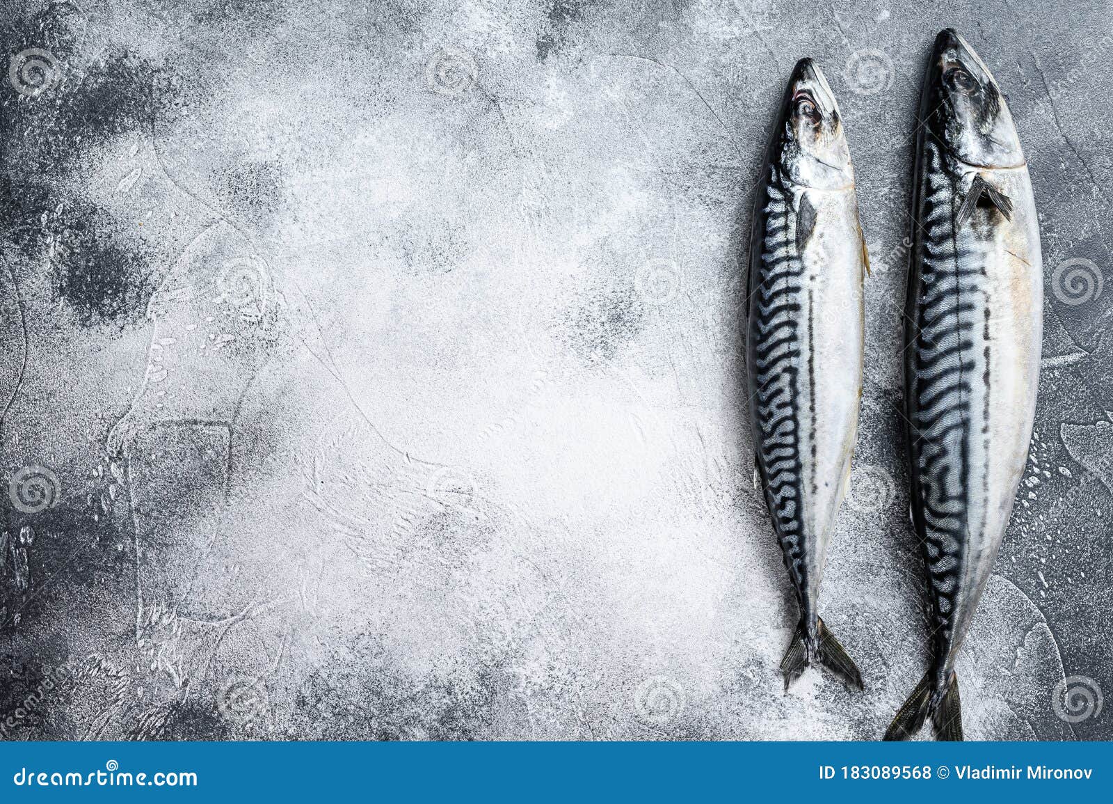 Raw Mackerel Fish. Gray Background. Top View Stock Photo - Image of ...