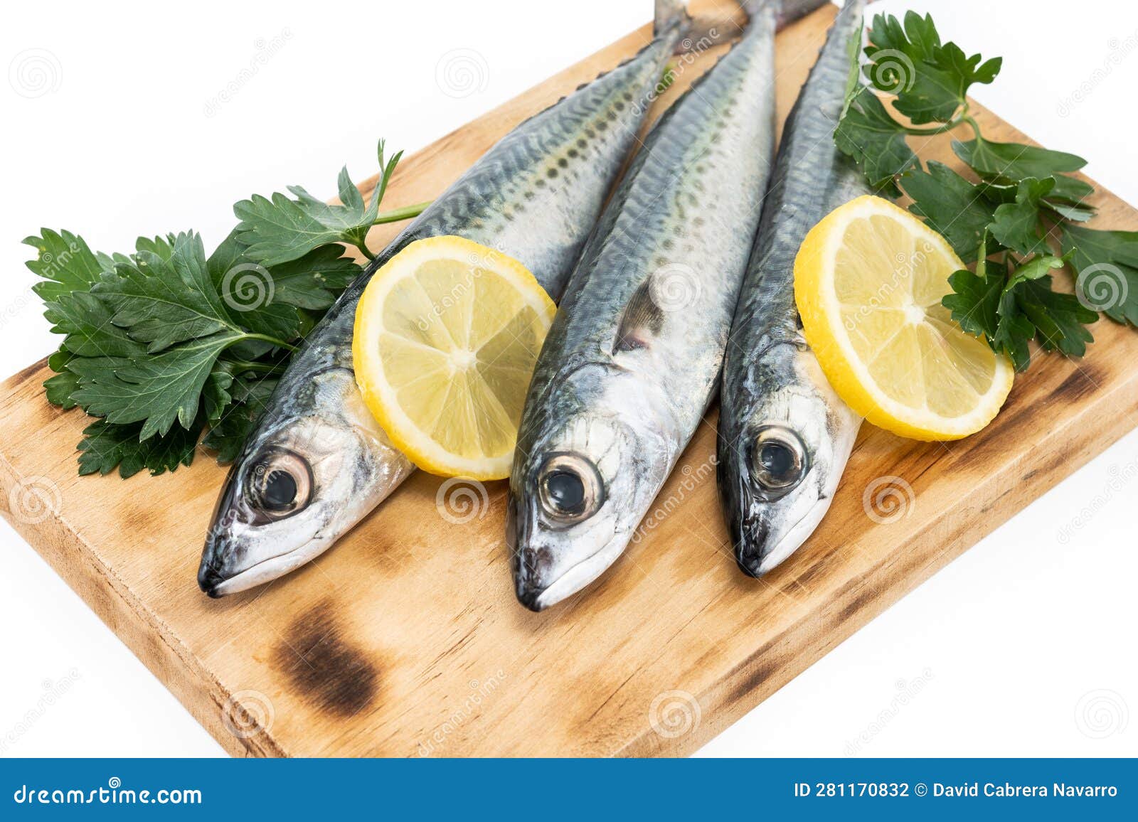 Raw Mackerel Fish Isolated on White Background Stock Photo - Image of ...