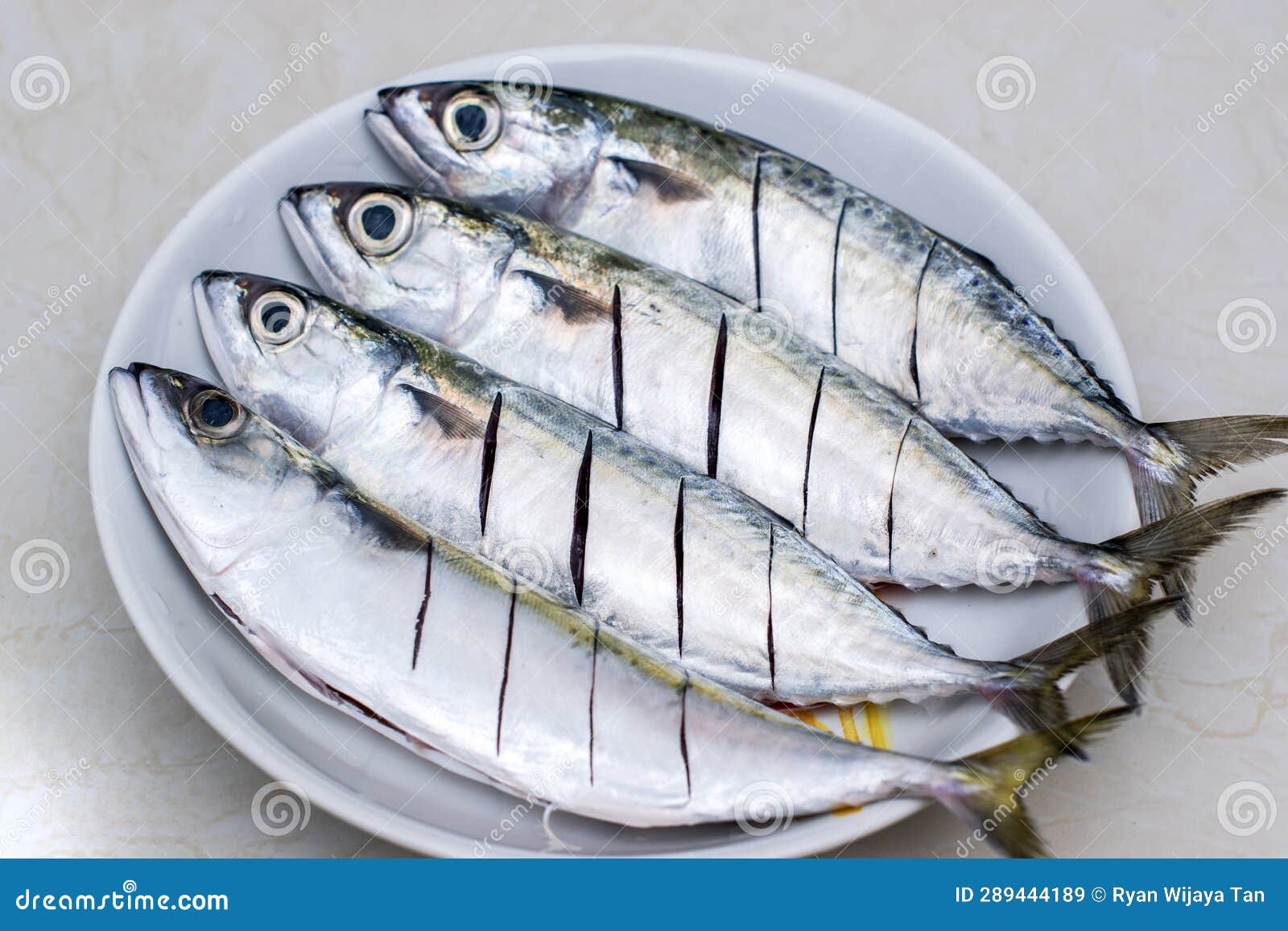 Raw Mackerel Fish on a Plate Top View Stock Image - Image of healthy ...
