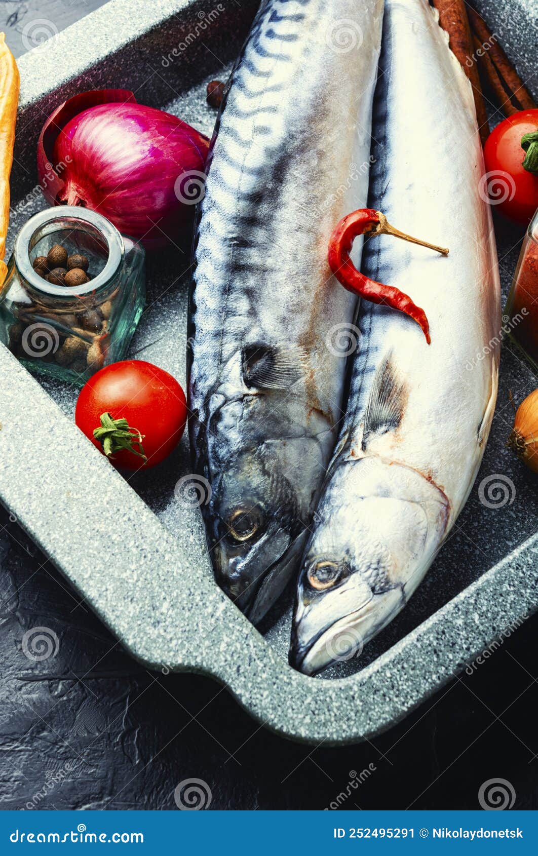 Fresh, raw scomber fish stock image. Image of delicious - 252495291