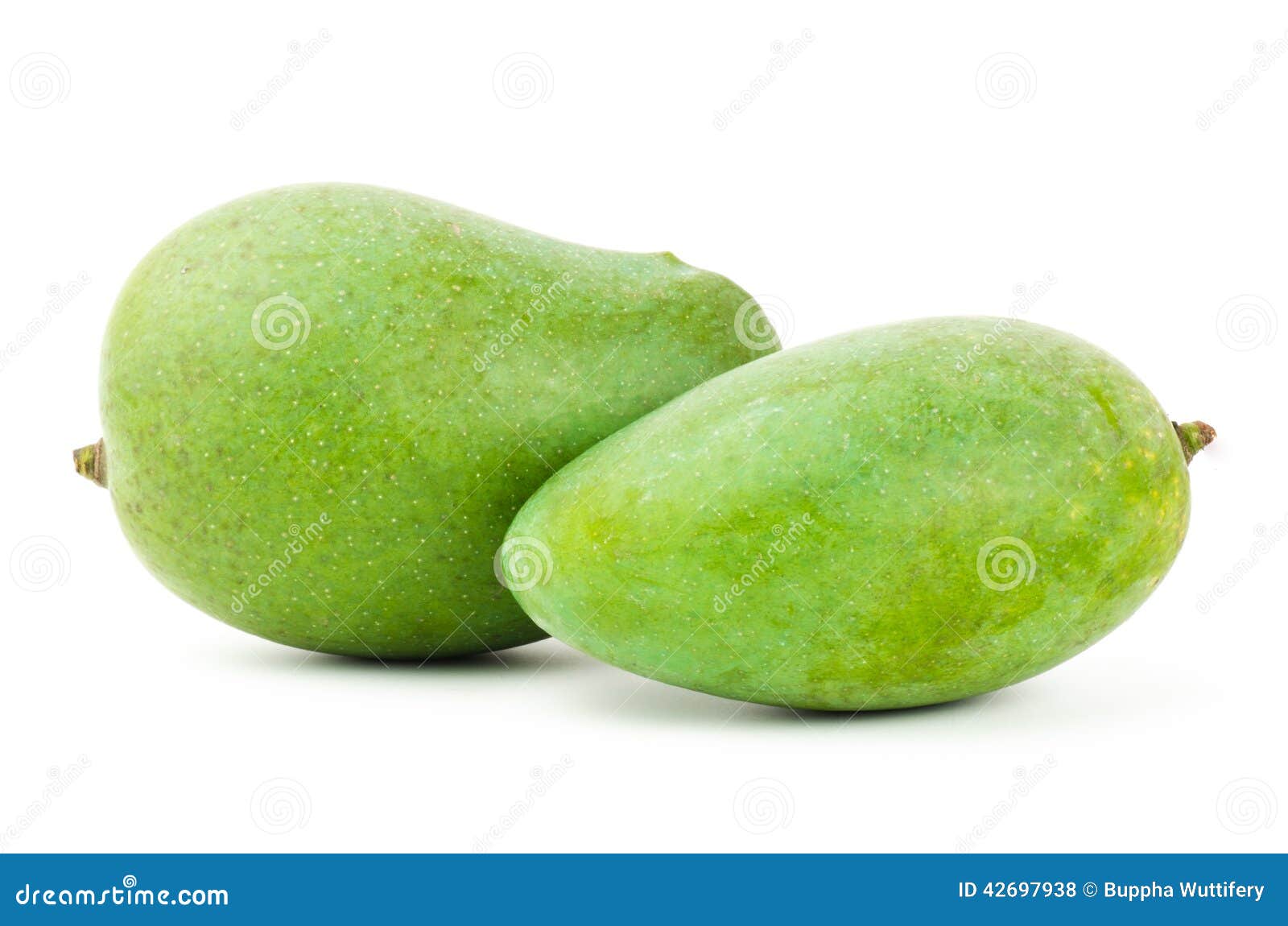 Raw mango fruit stock photo. Image of sour, round, asia - 42697938