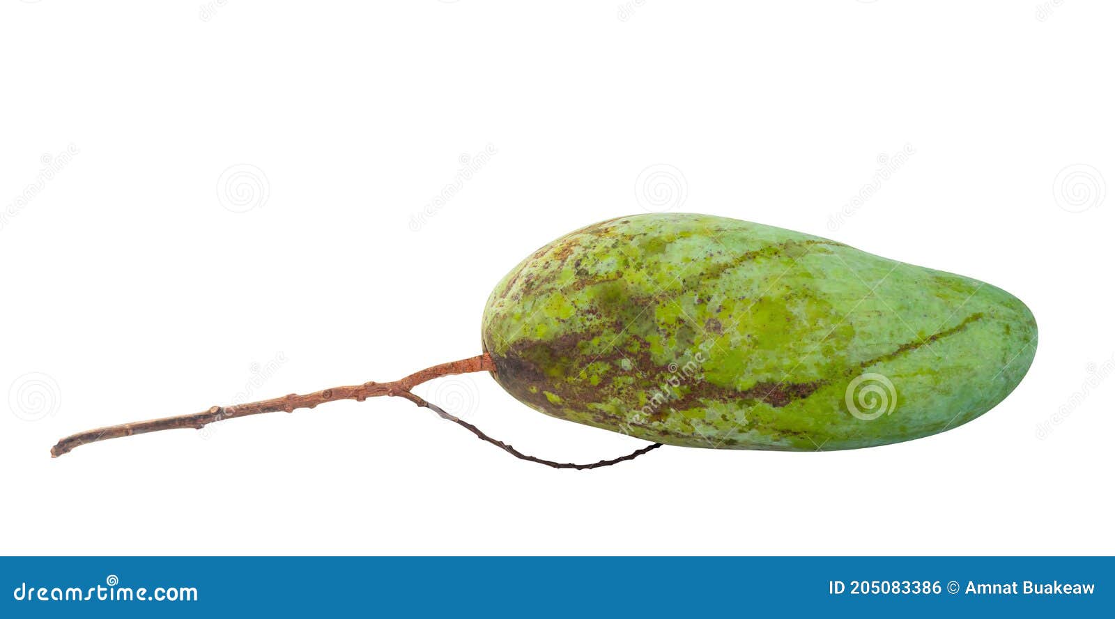 Mango Green, Fresh Mango and Stalk Branch, Mango Fruit Single Isolated ...