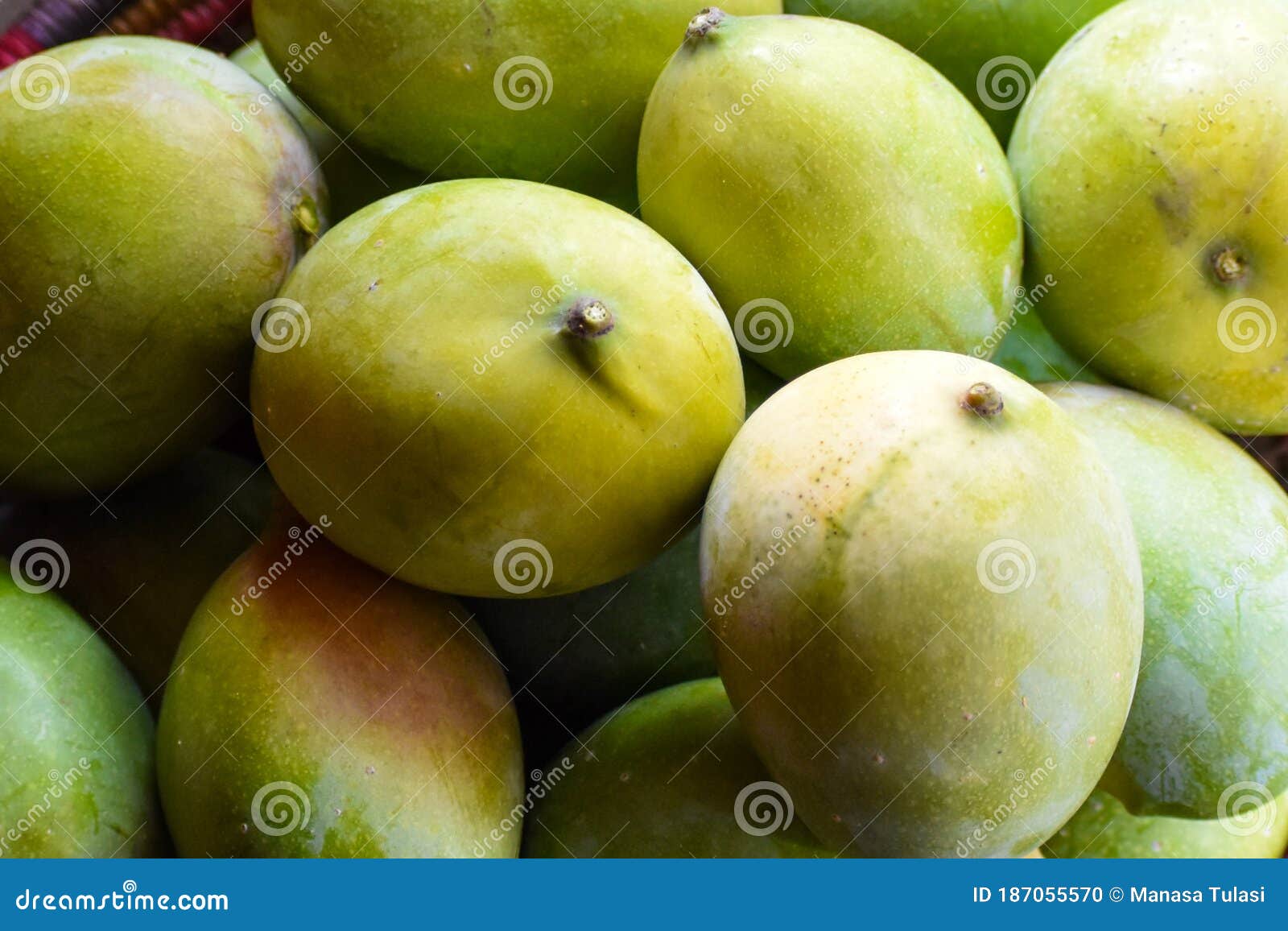 Raw Mangoes in the Basket & X28;zoom View& X29; Stock Photo - Image of ...