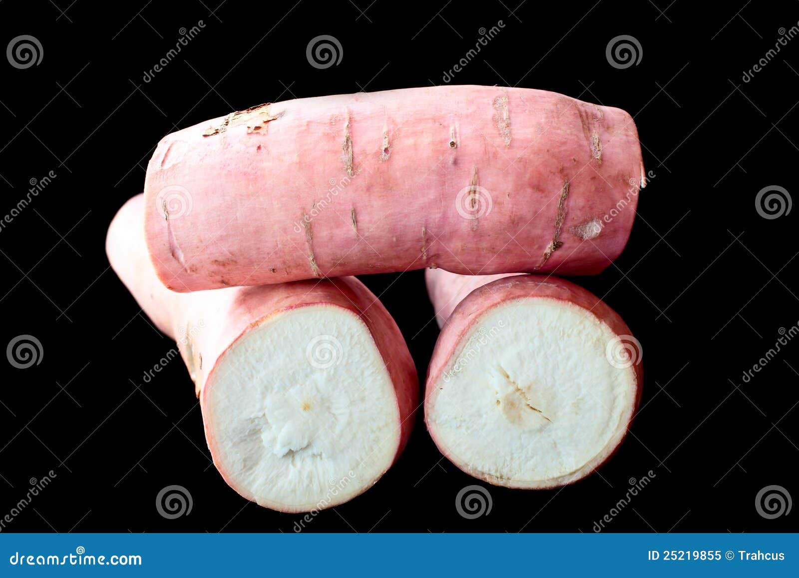 Raw Manioc for Feedstuff and Food Industry Stock Image - Image of ...