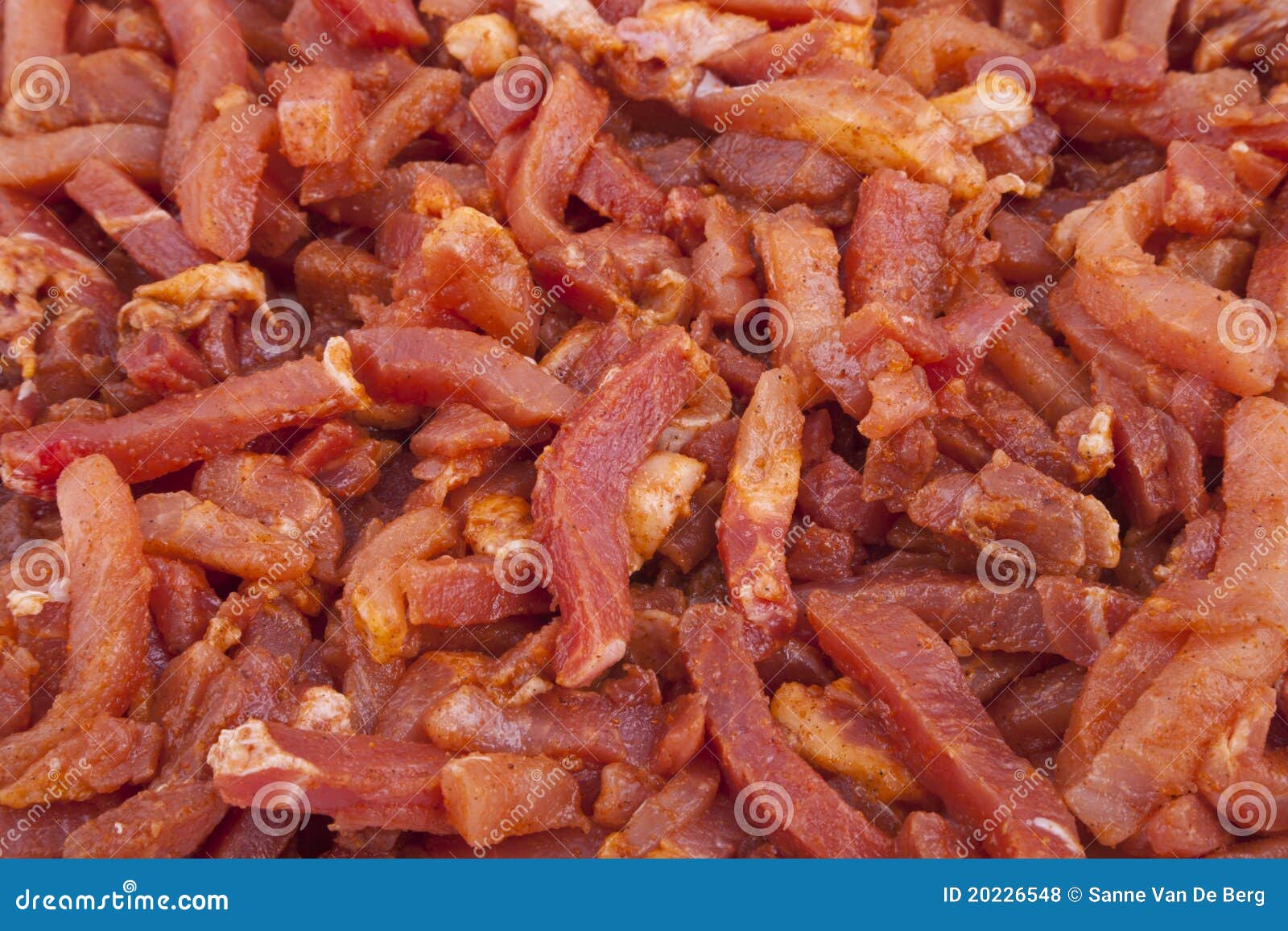 Raw, marinated meat strips stock photo. Image of unprepared - 20226548