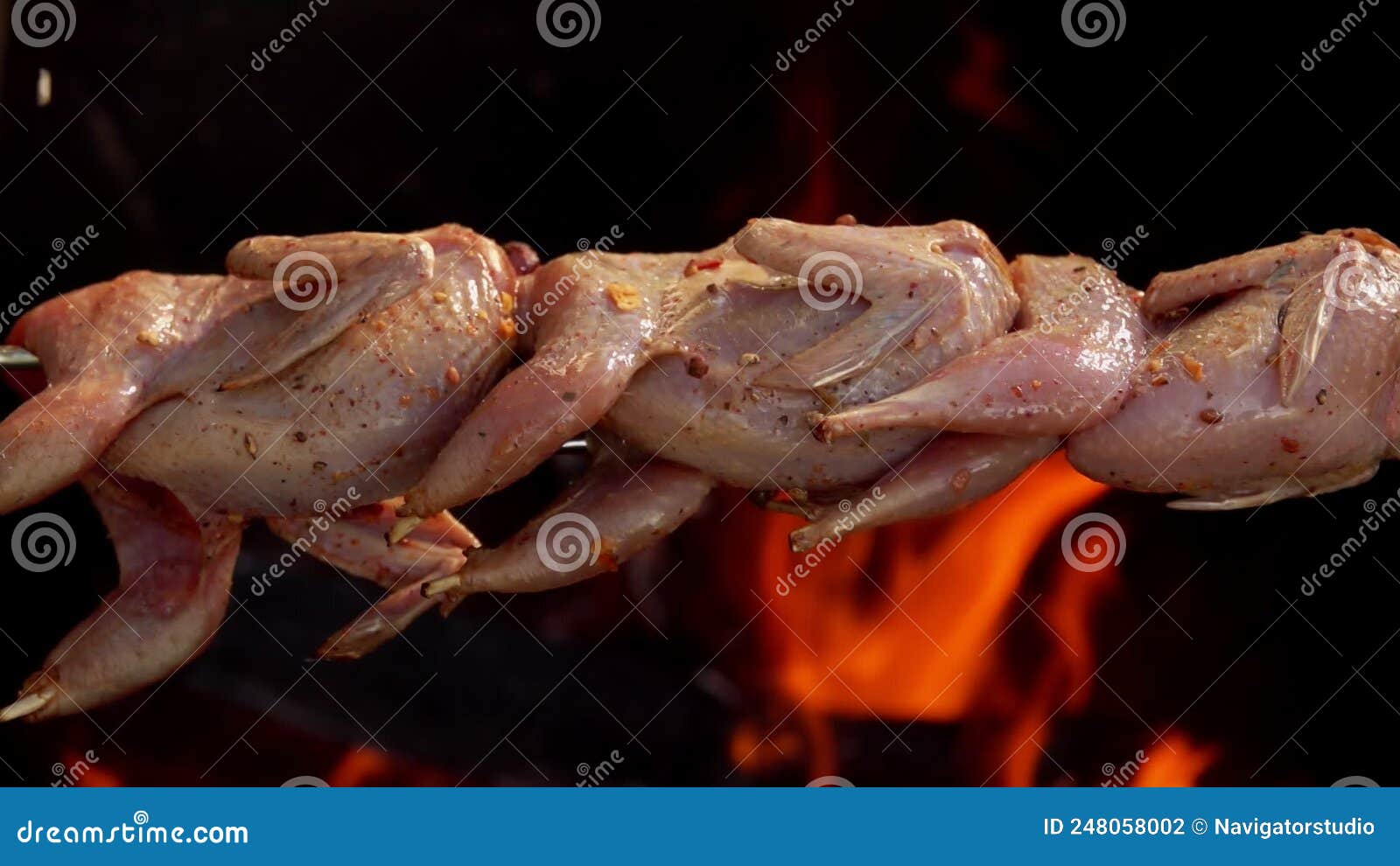 Raw Marinated Quail Carcasses on the Skewer are Placed Above the Open ...