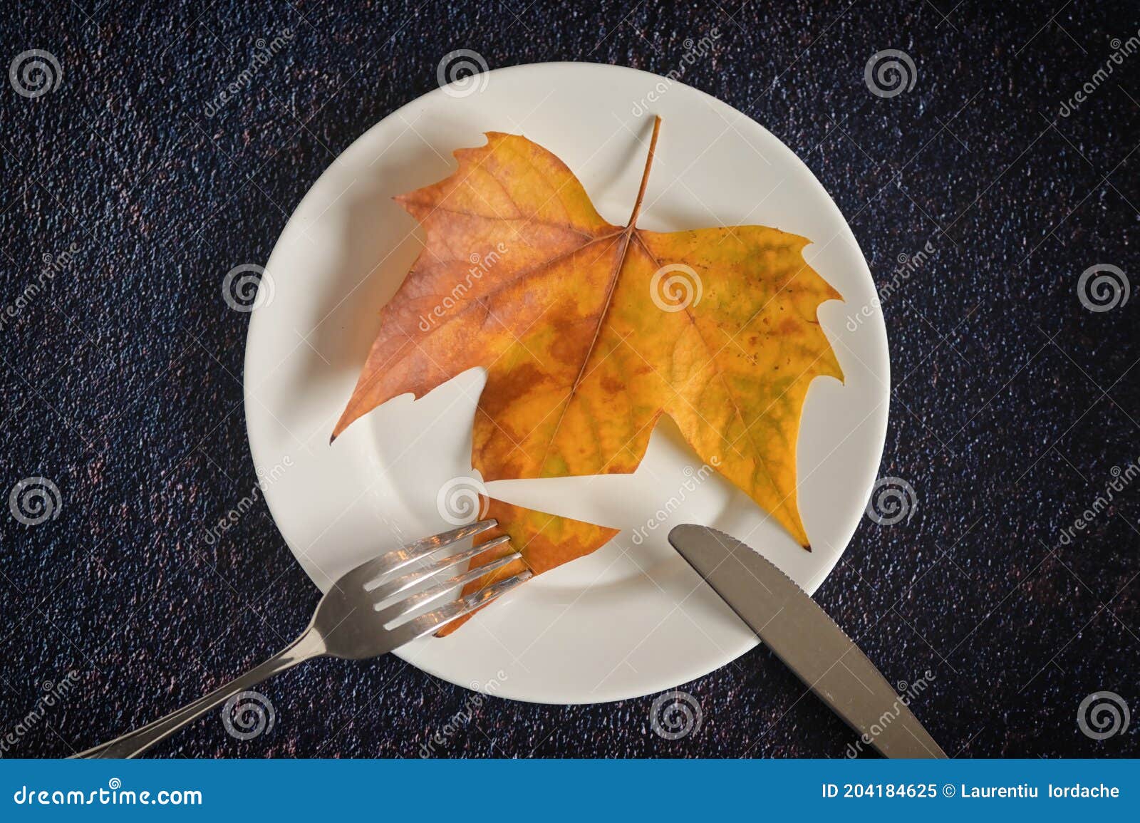Raw Meal with Maple Leaf on Plate Stock Image - Image of concept ...