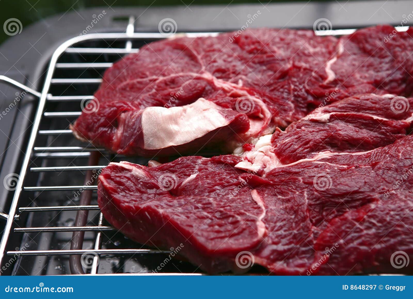 Raw meat on bbq stock image. Image of isolated, food, cook - 8648297