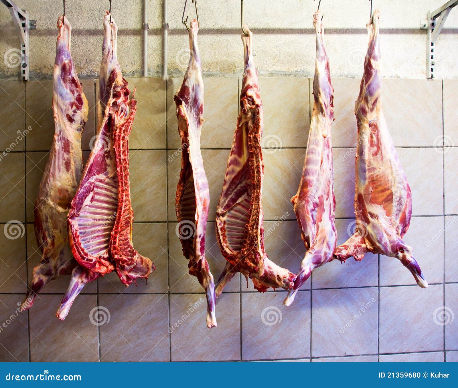 Raw meat hanging stock photo. Image of length, dead, bone - 21359680