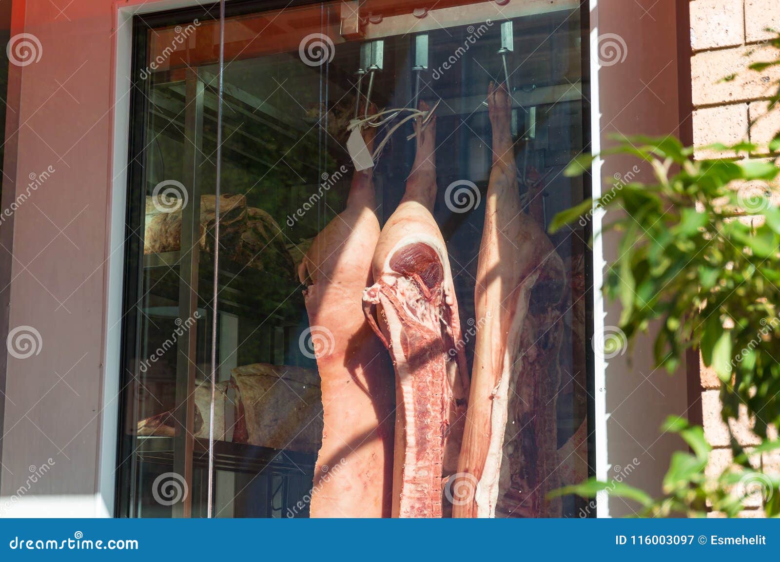 Raw Meat Hanging on Display in Butcher Shop Window Stock Image - Image ... Raw Meat Hanging on Display in Butcher Shop Window Stock Image - Image ...