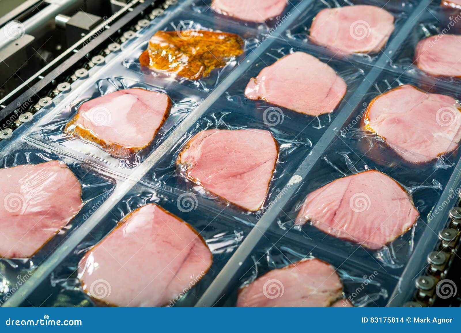 Raw meat production stock photo. Image of industrial - 83175814