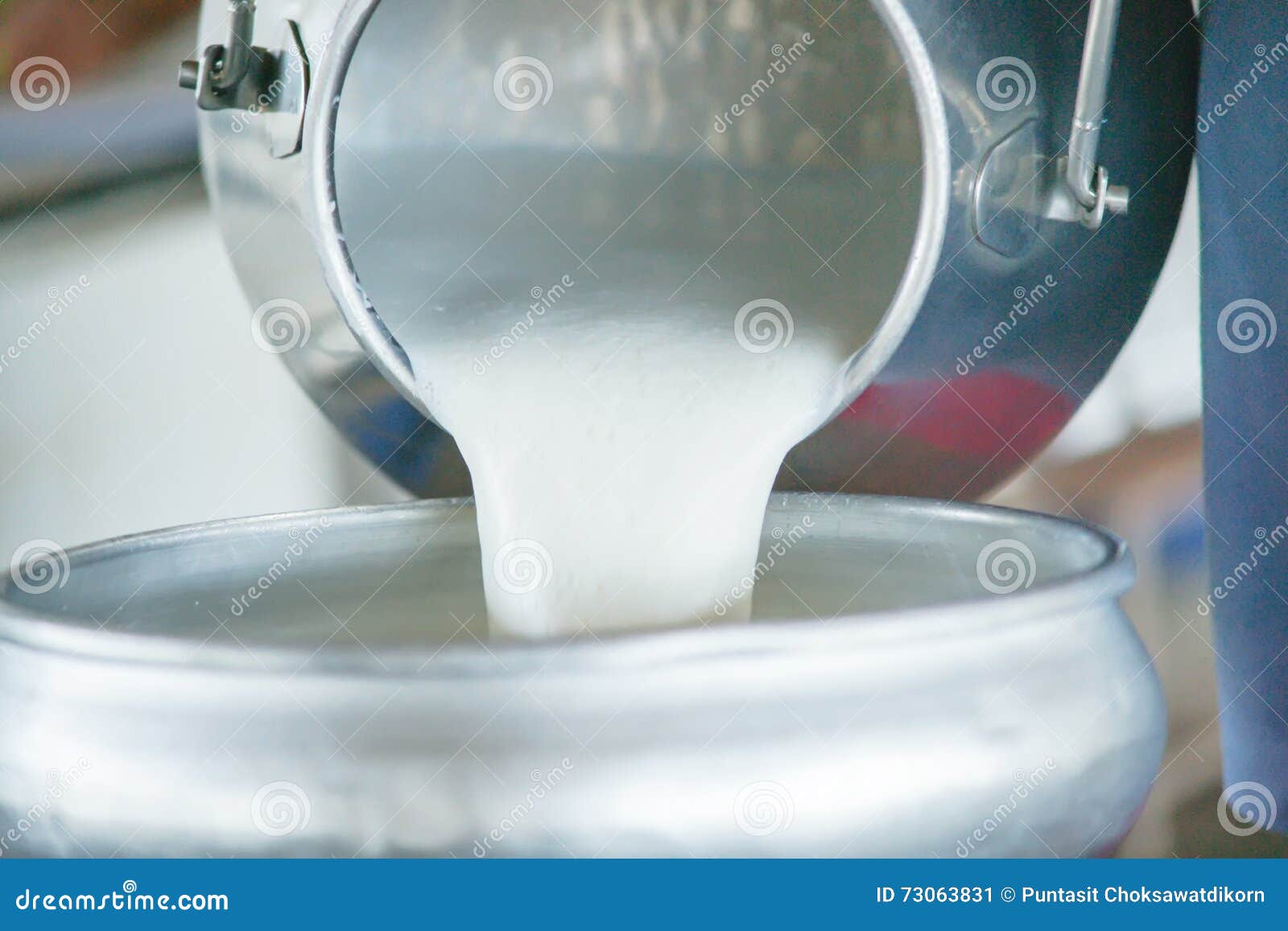 Raw milk stock image. Image of milking, equipment, agriculture - 73063831