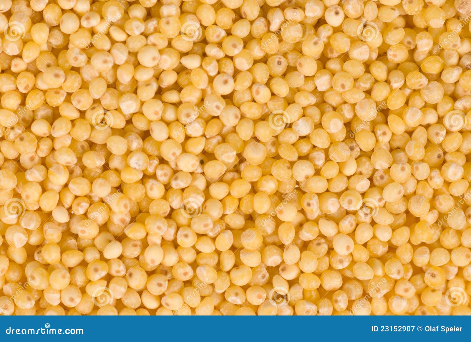 Raw millet stock image. Image of food, organic, staple - 23152907