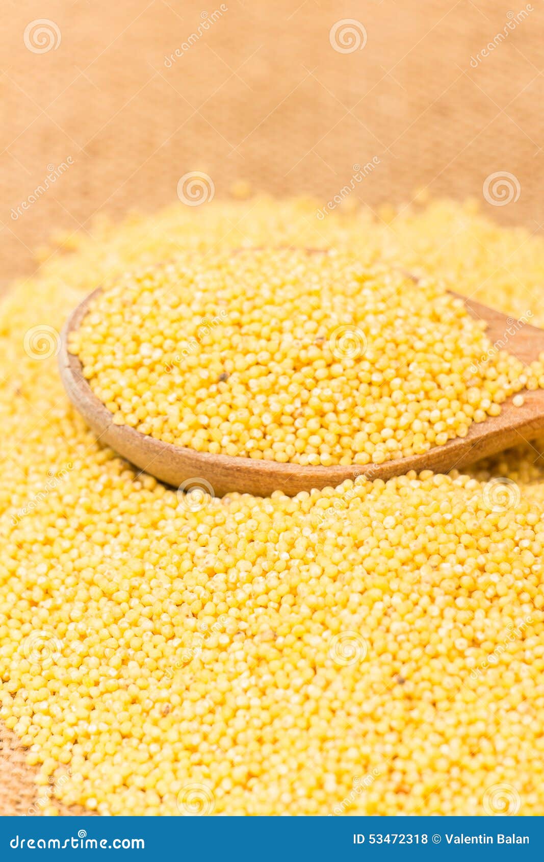 Raw millet stock photo. Image of seed, hulled, vegetarian - 53472318