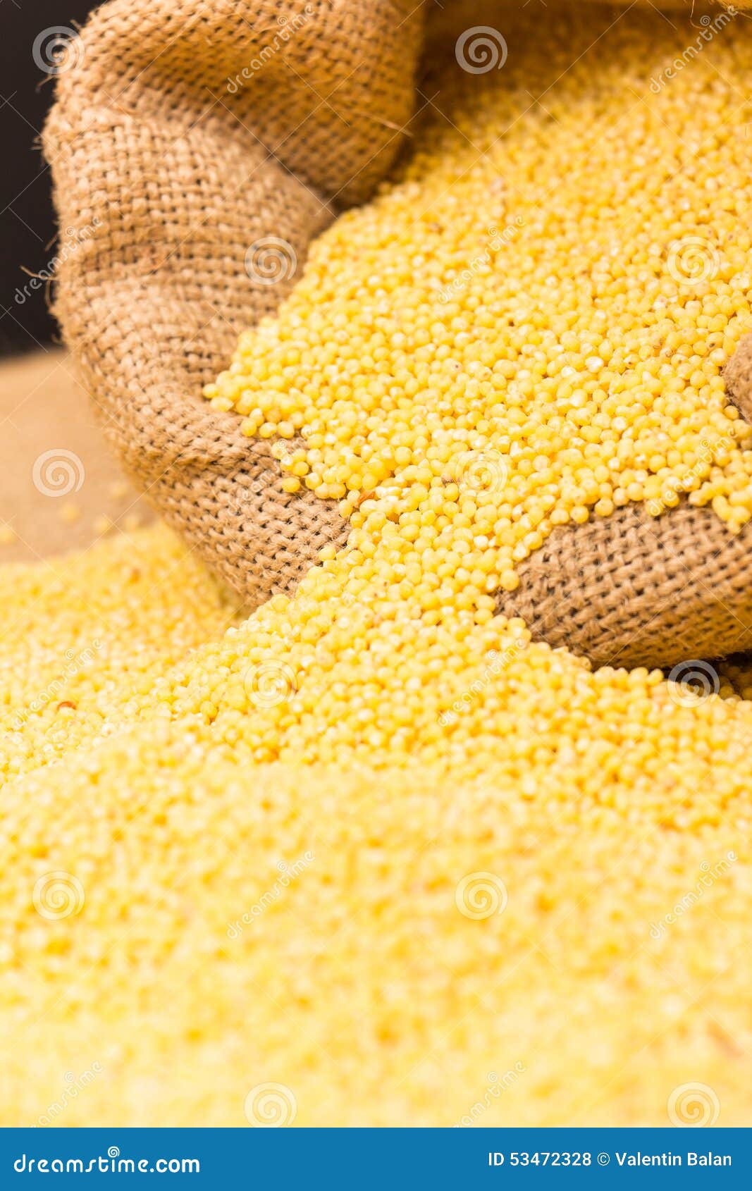 Raw millet stock photo. Image of canvas, ingredient, gluten - 53472328