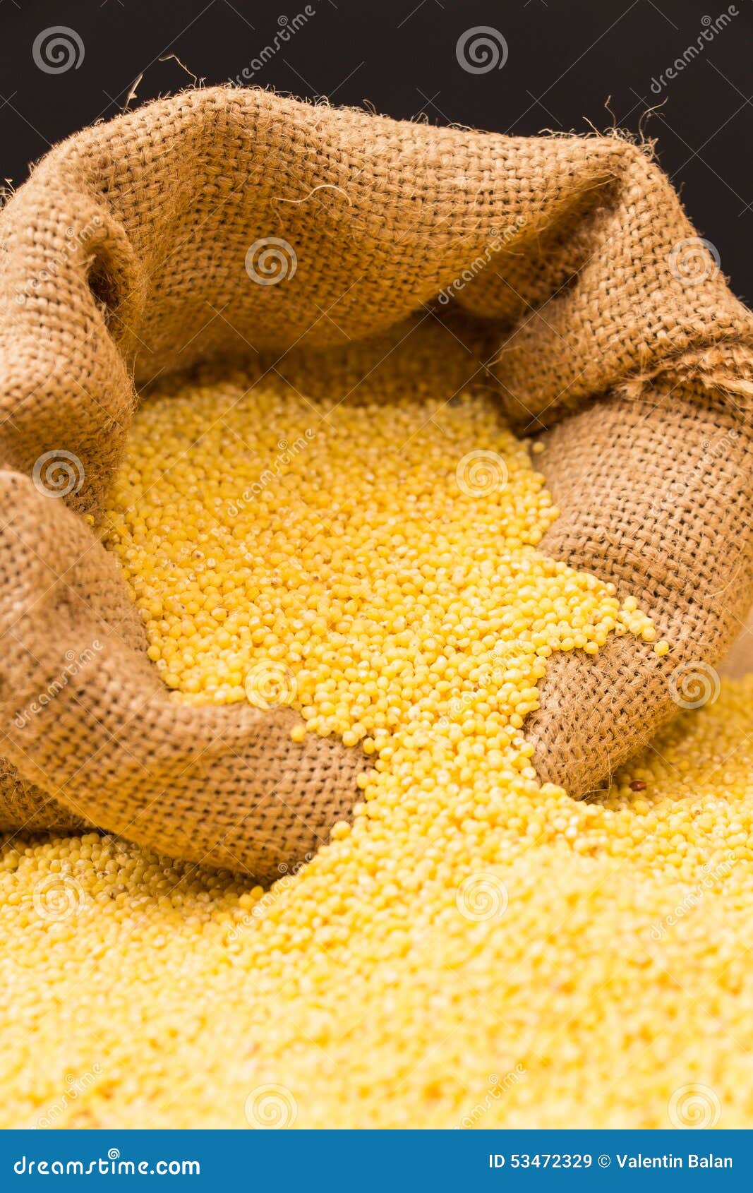 Raw millet stock image. Image of canvas, groat, grain - 53472329