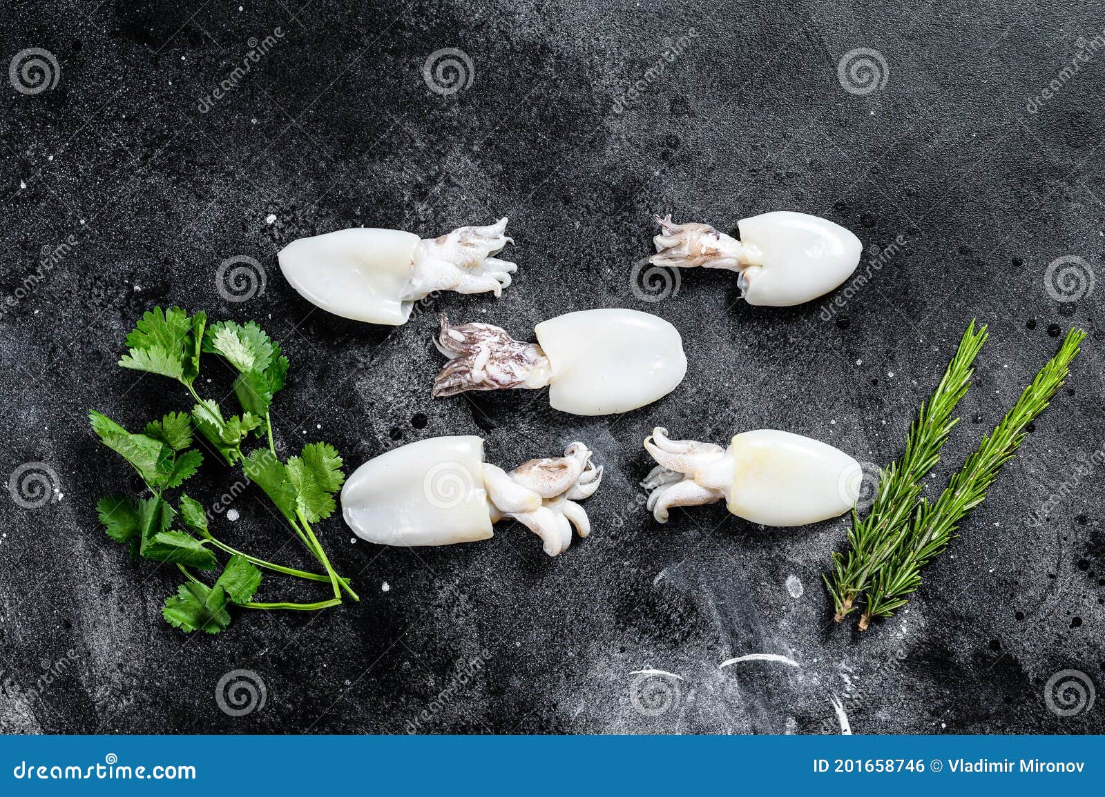 Raw Mini Cuttlefish with Rosemary and Parsley. Black Background. Top ...