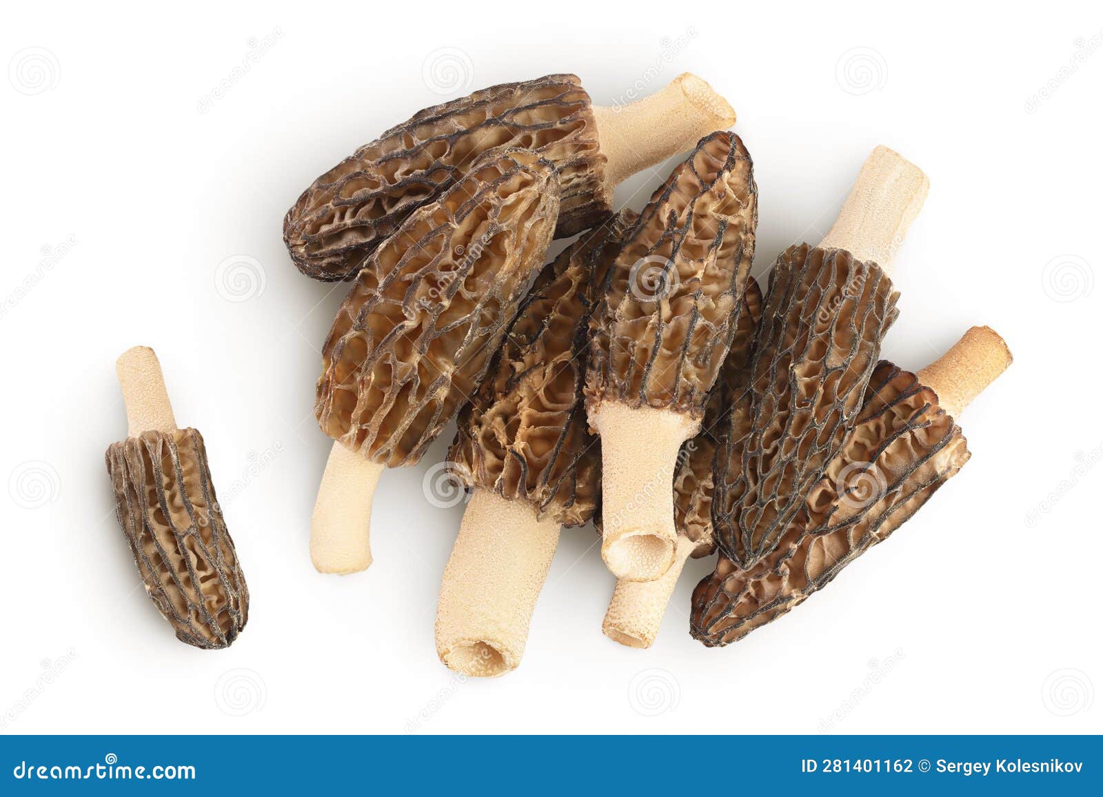 Raw Morel Mushroom Isolated on White Background with Full Depth of ...