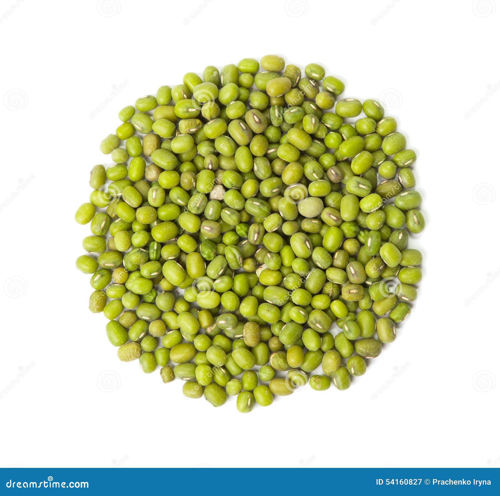 Vigna Radiata Moong Beans Mudga Monggo Plant Royalty-Free Stock ...