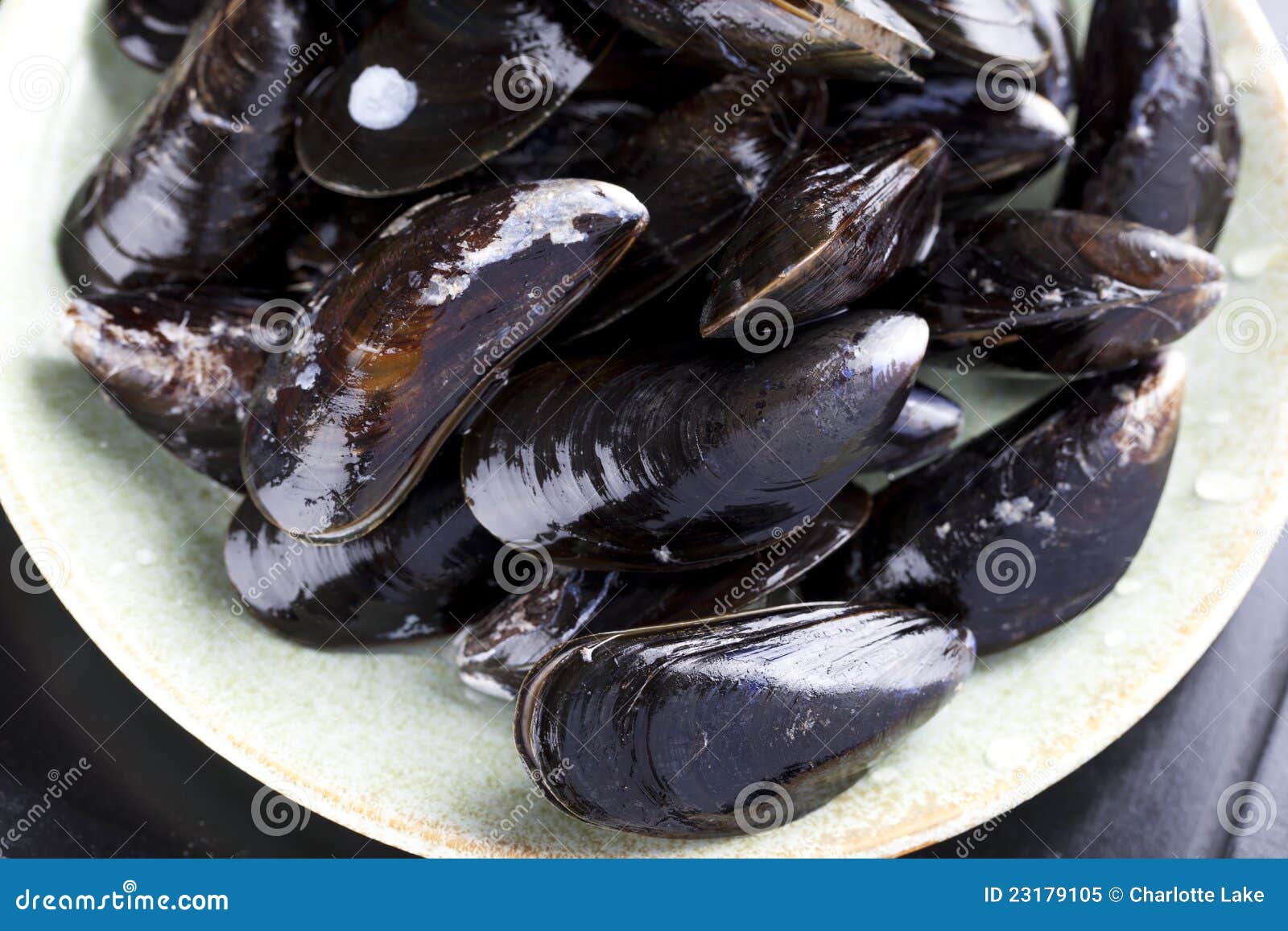 Raw Mussels stock image. Image of healthy, mussle, mussels - 23179105