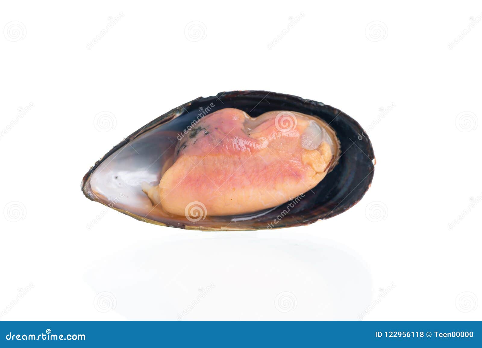 Raw Mussels on White Background Stock Photo - Image of closeup ...