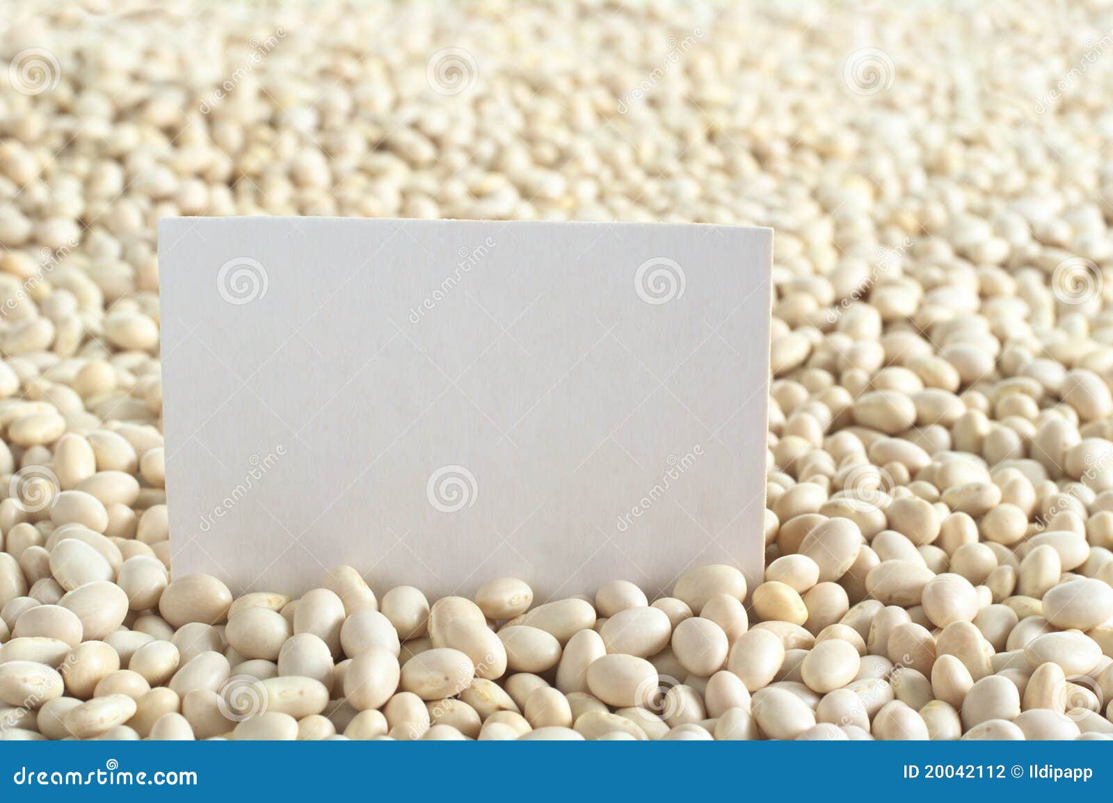Raw Navy Beans with Blank Card Stock Photo - Image of photograph ...