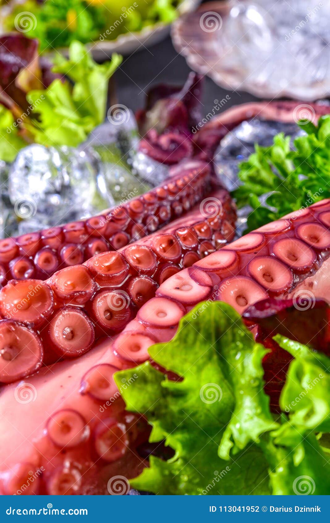 Raw octopus on the ice stock photo. Image of marine - 113041952